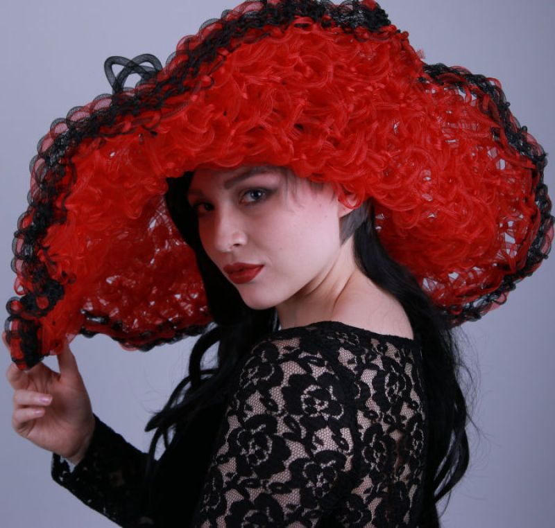 Design Hut: Red Fascination